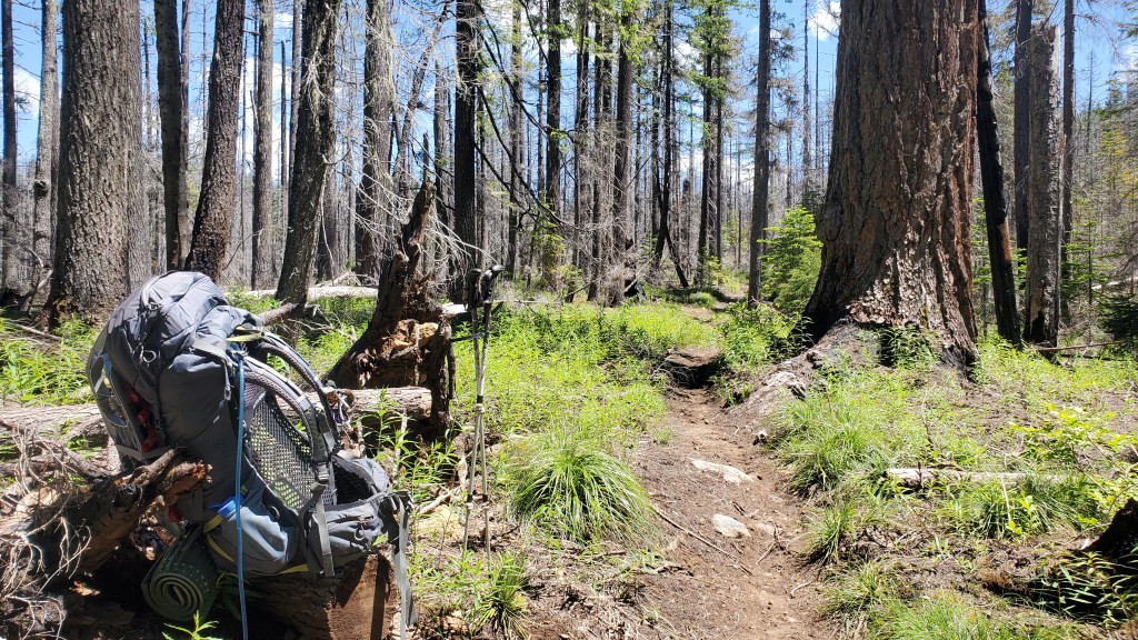 Backpacking Foley Ridge, and exploring Linton Meadows | Tales from the Hutt