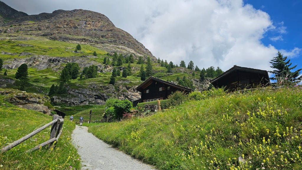 A Big Hike #2 – My hike to Arbenbach Falls | Tales from the Hutt