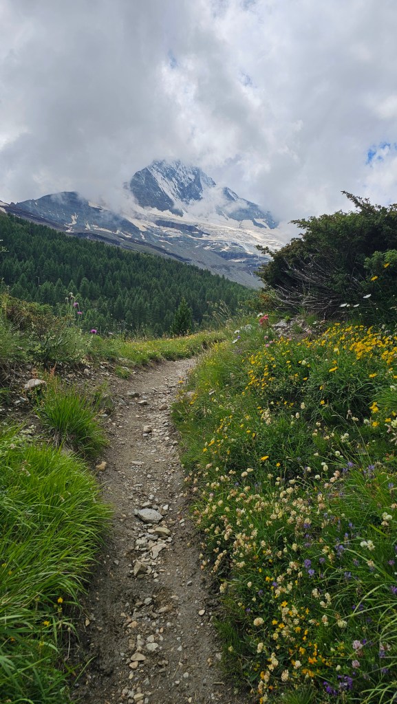 A Big Hike #2 – My hike to Arbenbach Falls | Tales from the Hutt