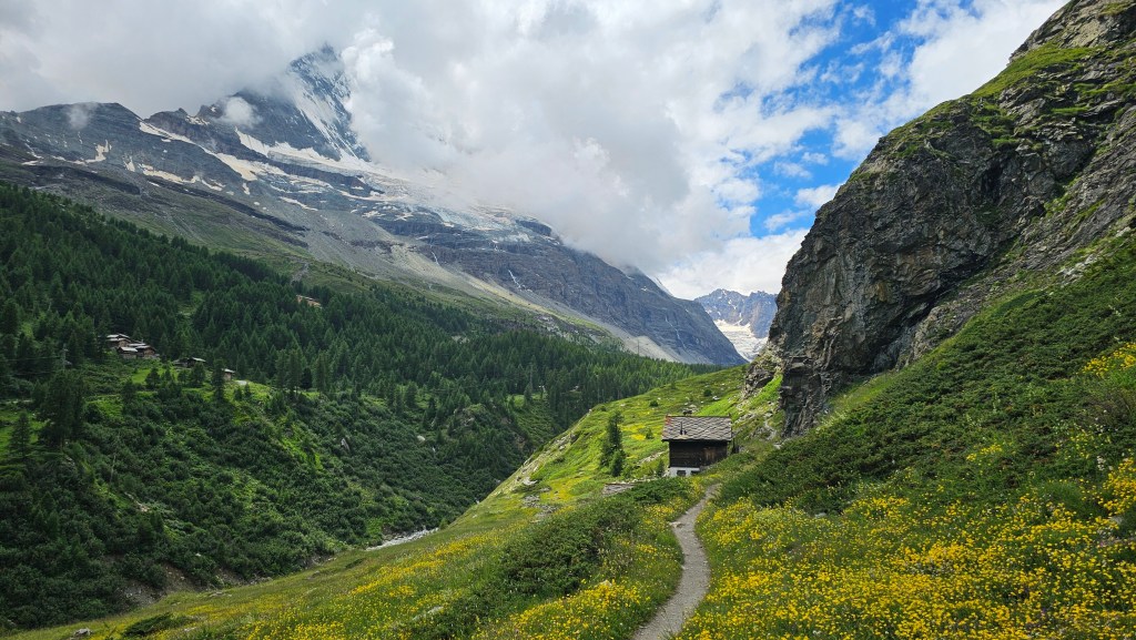 A Big Hike #2 – My hike to Arbenbach Falls | Tales from the Hutt